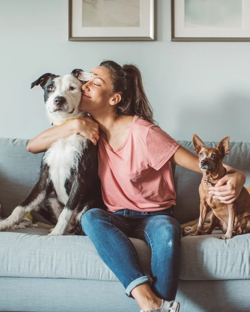 10+ Natural Air Purification Methods for a Non-Toxic Home - Toxic Free ...