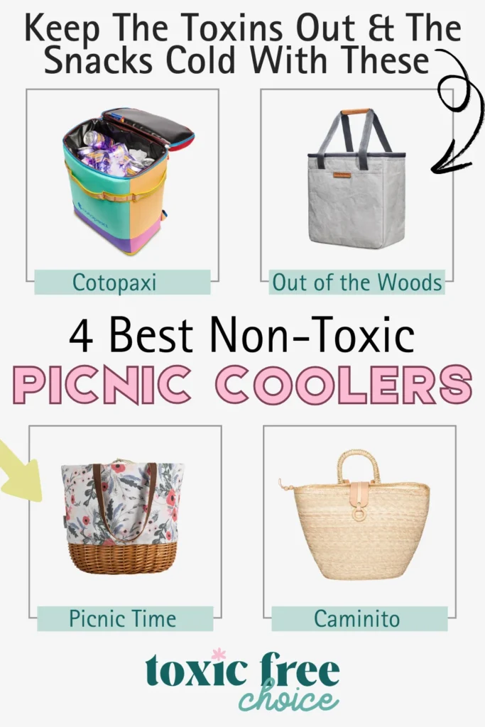 How to Pack the Perfect Non-Toxic Picnic: Eco-Friendly Gear + Clean ...