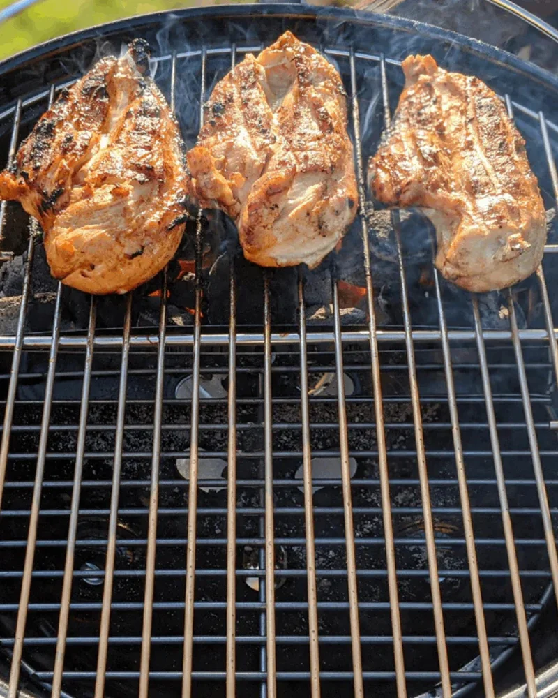 Best Non-Toxic Grilling Gear & Cookware for Healthy Outdoor Cooking ...