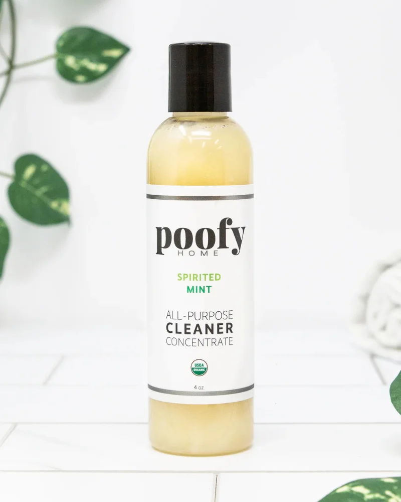 11 Best Non-Toxic Cleaning Brands of 2025 (That Actually Work) - Toxic ...