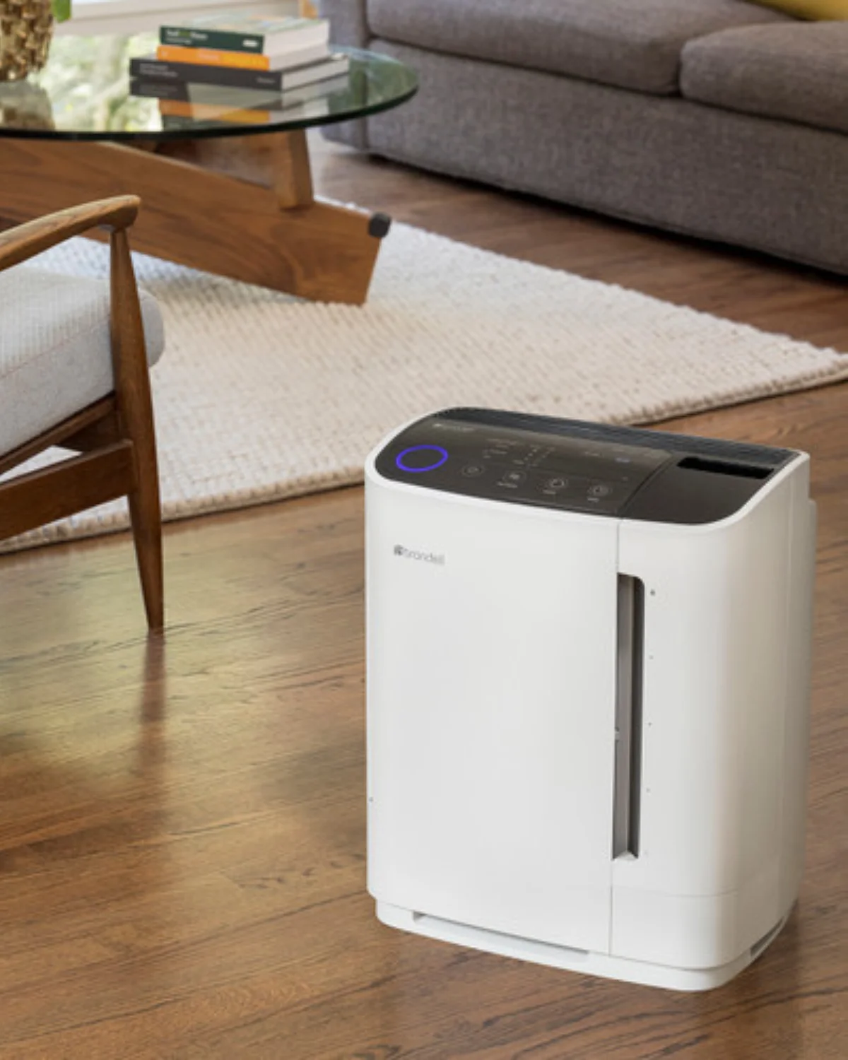 Non-Toxic Humidifiers & Diffusers: Avoid Mold, VOCs & Unsafe Plastics - Toxic Free Choice